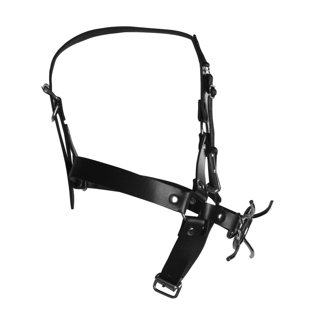 Ouch Xtreme Head Harness With Spider Gag And Nose Hooks - LittleTickle ...